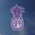 Shop SFA Pineapple Car Decal in Nacogdoches – Kampus Books